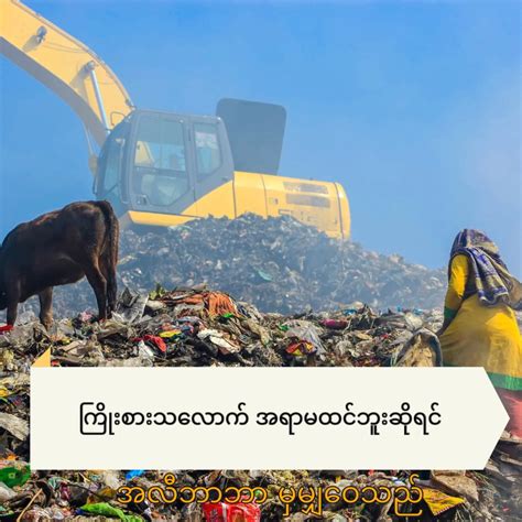 အ ဝါးပင်တစ်ပင်က 3 Cm ကြီးဖို့ 4 နှစ်အချိန်သုံးရပါတယ် အဲ့ဒီ 4 နှစ်နောက
