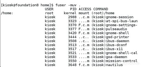 查看进程使用的文件（命令：fuser、lsof、pidof） fuser命令详解 csdn博客