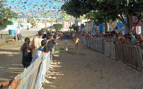 Veja imagens da Festa do Bode Rei em Cabaceiras Paraíba fotos em Paraíba g
