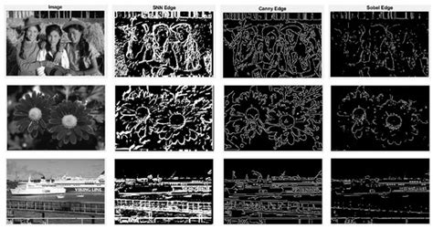 Algorithms Special Issue Bio Inspired Algorithms For Image Processing