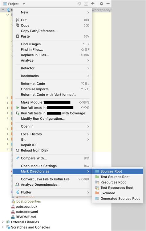 Flutter Error Entrypoint Isn T Within The Current Project Stack