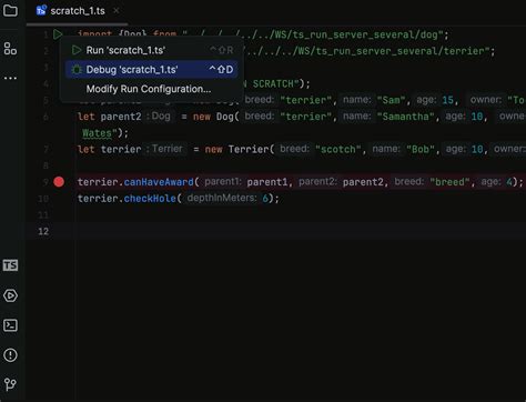 Running And Debugging Typescript Webstorm Documentation