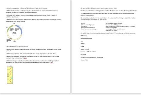 Solved What Is The Purpose Of Dna Cloning Describe A Chegg