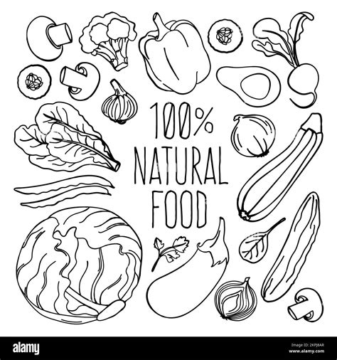 Vegetables Monochrome Vegetarian Diet Proper Nutrition Clip Art Vector