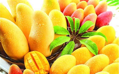 Macam Macam Buah Tropis Dan Manfaatnya Untuk Kesehatan Malesnuliscom