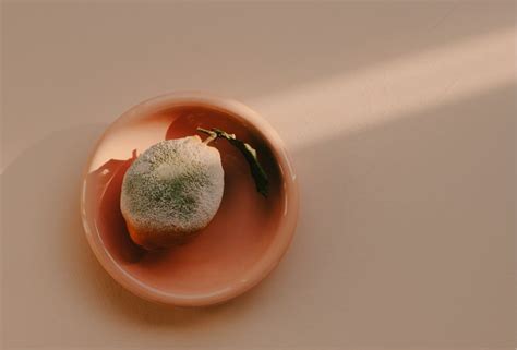 Seasonal Allergies Mold Toxicity Vashti Kanahele