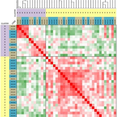 Dendrogram And Heatmap Of Hierarchical Clustering Of T2d Patients And