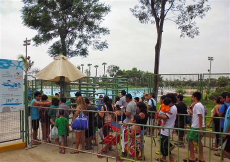 LUGARES TURÍSTICOS EN PERÚ PISCINA DEL PARQUE SINCHI ROCA COMAS