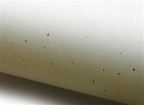 Japanese Paper Kingin Cream With Gold And Silver Flecks 21 X 31 Etsy