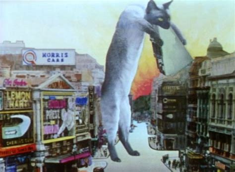 Monty Pythons Flying Circus How To Recognise Different Types Of
