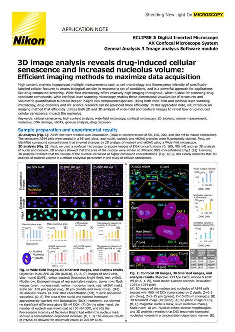 3d Image Analysis Reveals Drug Induced Cellular Senescence And