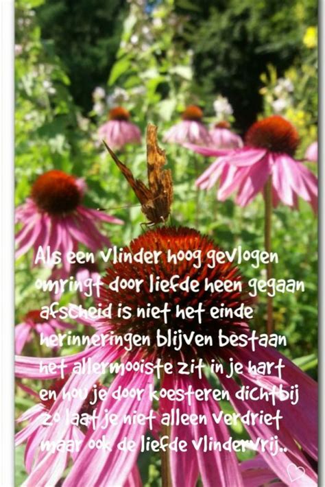 Ter Herinnering Aan Esther Van Garderen Memorinl