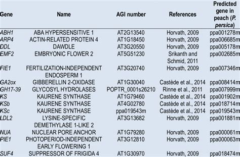 Candidate Genes For Dormancy And Flowering Date Located In Silico Using Download Table