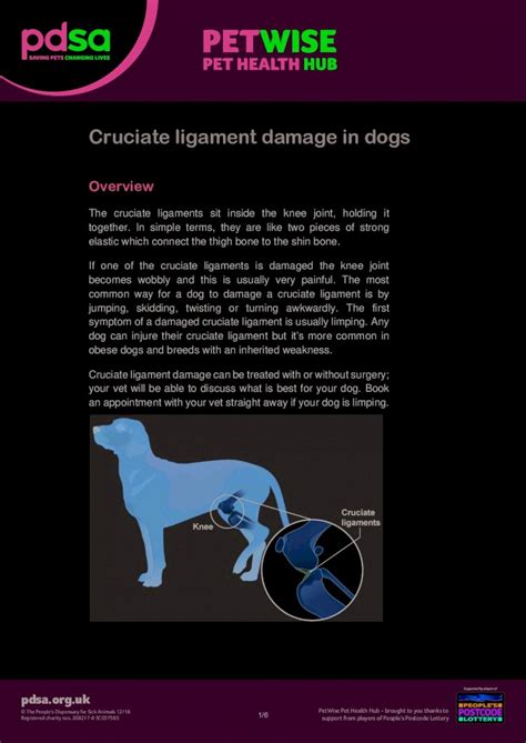 Pdf Cruciate Ligament Damage In Dogs Pdsa · The Following Will Help