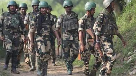 Pakistani Intruder Shot Dead Along International Border In Punjabs