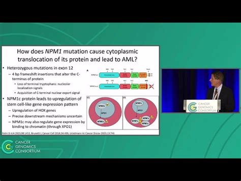 Free Video Npm1 Mutation In Myeloid Malignancies Advancing Precision Medicine From Cancer