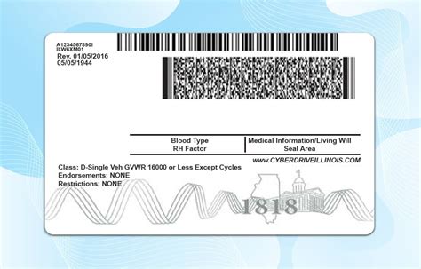 Illinois Drivers License Template New Edition PSD Photoshop File