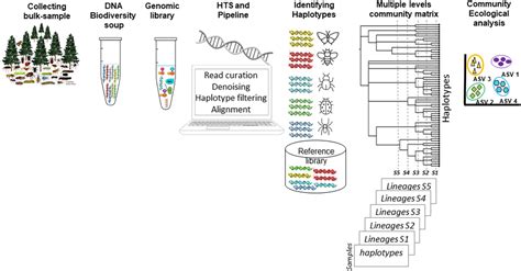 Insect Conservation And Diversity Early View