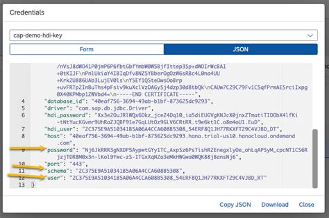 Btp Hana Cloud Database How To Access Hana Clo Sap Community