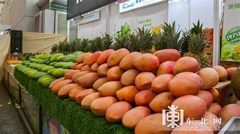 第29屆哈洽會即將開幕 東北網記者搶先探營 每日頭條