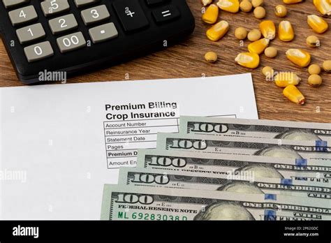 Crop Insurance Premium Bill With Soybeans And Corn Concept Of Grain Yield Loss Hail And Wind