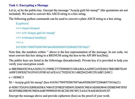 Solved Task Encrypting A Message Let E N Be The Public Chegg