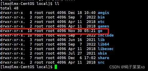 Go后端开发 环境搭建go Lang 前后端开发 Csdn博客