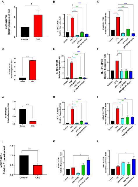 Mrna Expression Level Of Inos Il 1β Igf 1 And Mbp In The Cc