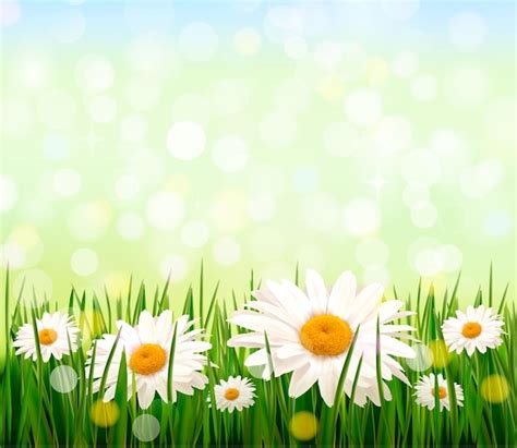 Premium Vector Nature Background With Green Grass And Flowers And