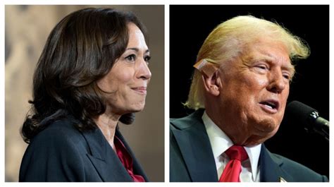 Harris Vs Trump What The Polls Tell Us