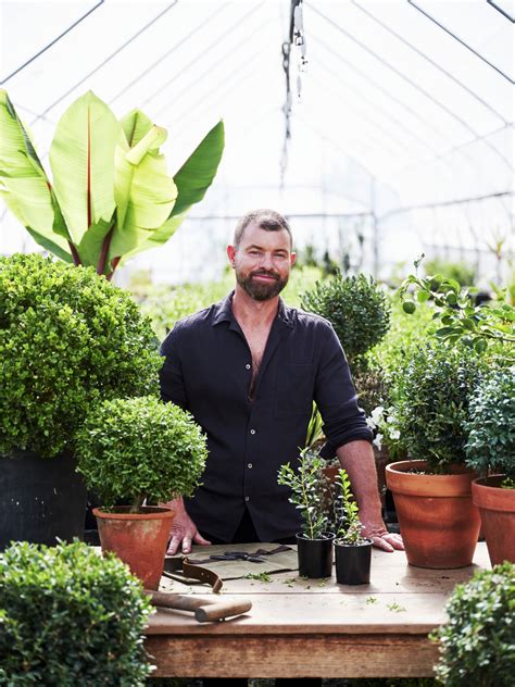 How To Propagate Buxus The Perfect Plants For Hedging