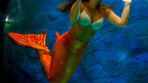 Sirena Se Desmaya Y Casi Muere Durante Show En Acuario Unotv