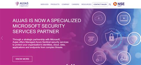 8 Best Penetration Testing Companies And Providers 2023