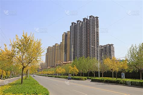 高层建筑和道路绿化