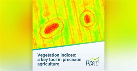 Vegetation Indices A Key Tool In Precision Agriculture Pix4d