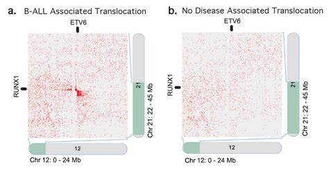 Structural Genomics Arima Genomics