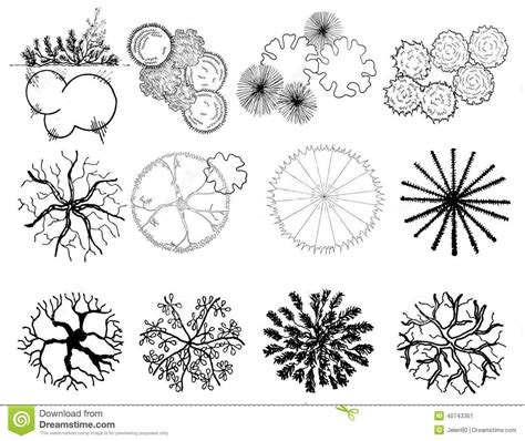 Explore The Beauty Of Treetop Symbols