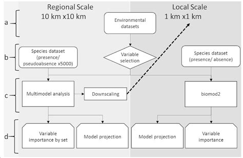 multi scale modelling framework for the analysis of drivers and