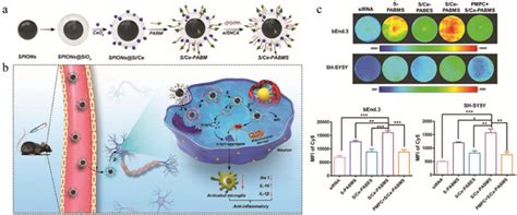 Zwitterionic Polymers Addressing The Barriers For Drug Delivery