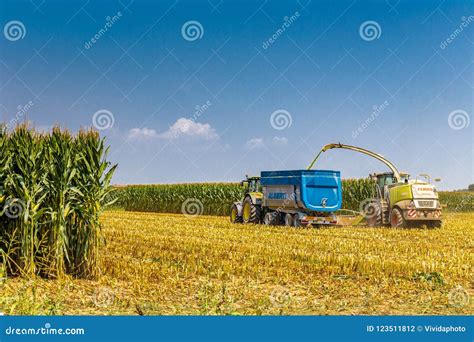 Editorial Agricultural Machine Cut And Grind The Maize Plants
