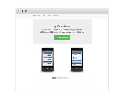 Golf Caddie Towfeek Solutions Ab