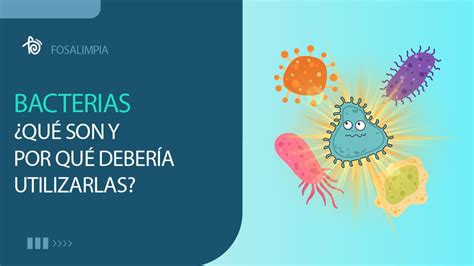 Bacterias ¡¿quÉ Son Para Qué Sirven Y Por Qué Son Tan Indispensables Fosalimpia Cl