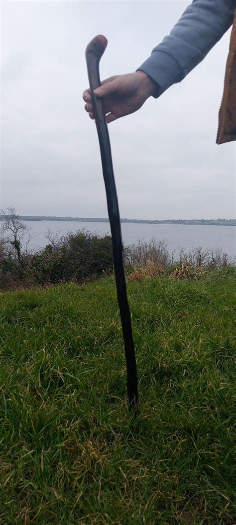 Irish Shillelagh Blackthorn Walking Stick Etsy