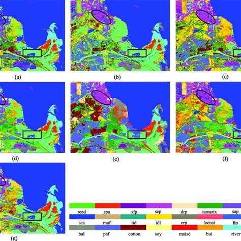 Classification Maps Obtained By Different Methods Of Yrd With The Download Scientific Diagram