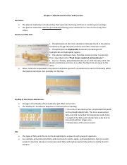 Chapter Membrane Structure And Fuction Pdf Chapter Membrane