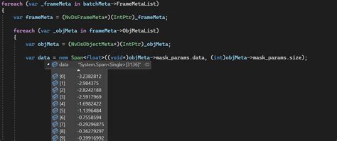 Interpret Mask Params Data From PeopleSegNetV2 DeepStream SDK