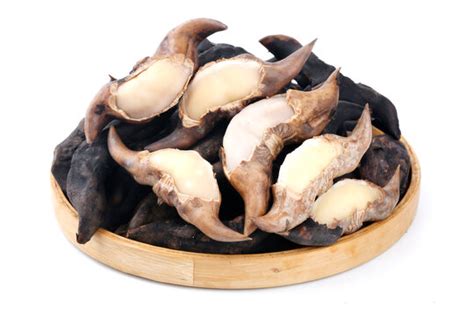 菱角图片大全 菱角设计素材 菱角模板下载 菱角图库 昵图网 soso nipic