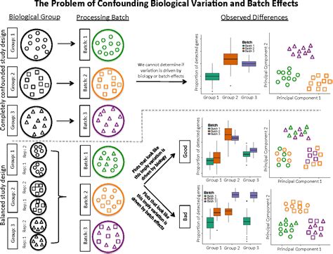 Figure 3 From On The Widespread And Critical Impact Of Systematic Bias And Batch Effects In