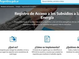 Cómo corregir el formulario de subsidios de luz y gas si puse algún