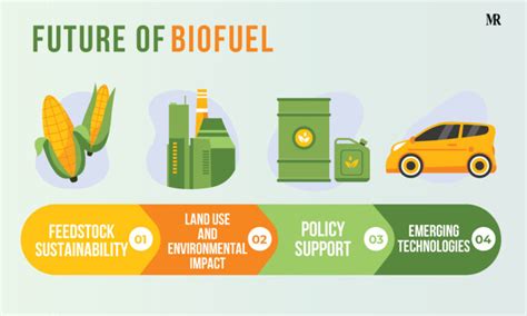 Biofuel A Sustainable Solution To Rising Energy Demand